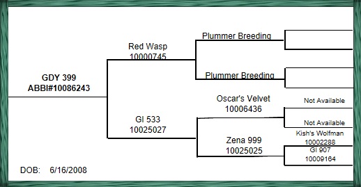 Breeder's Connection