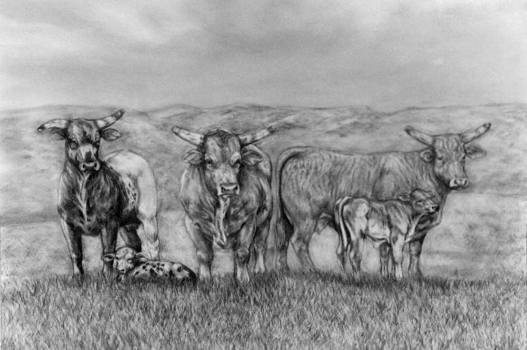 Breeder's Connection