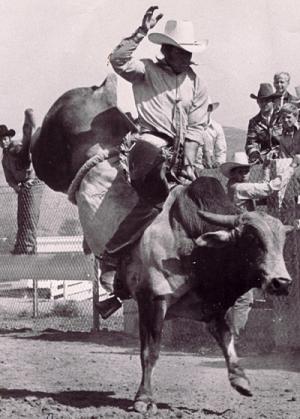 Breeder's Connection